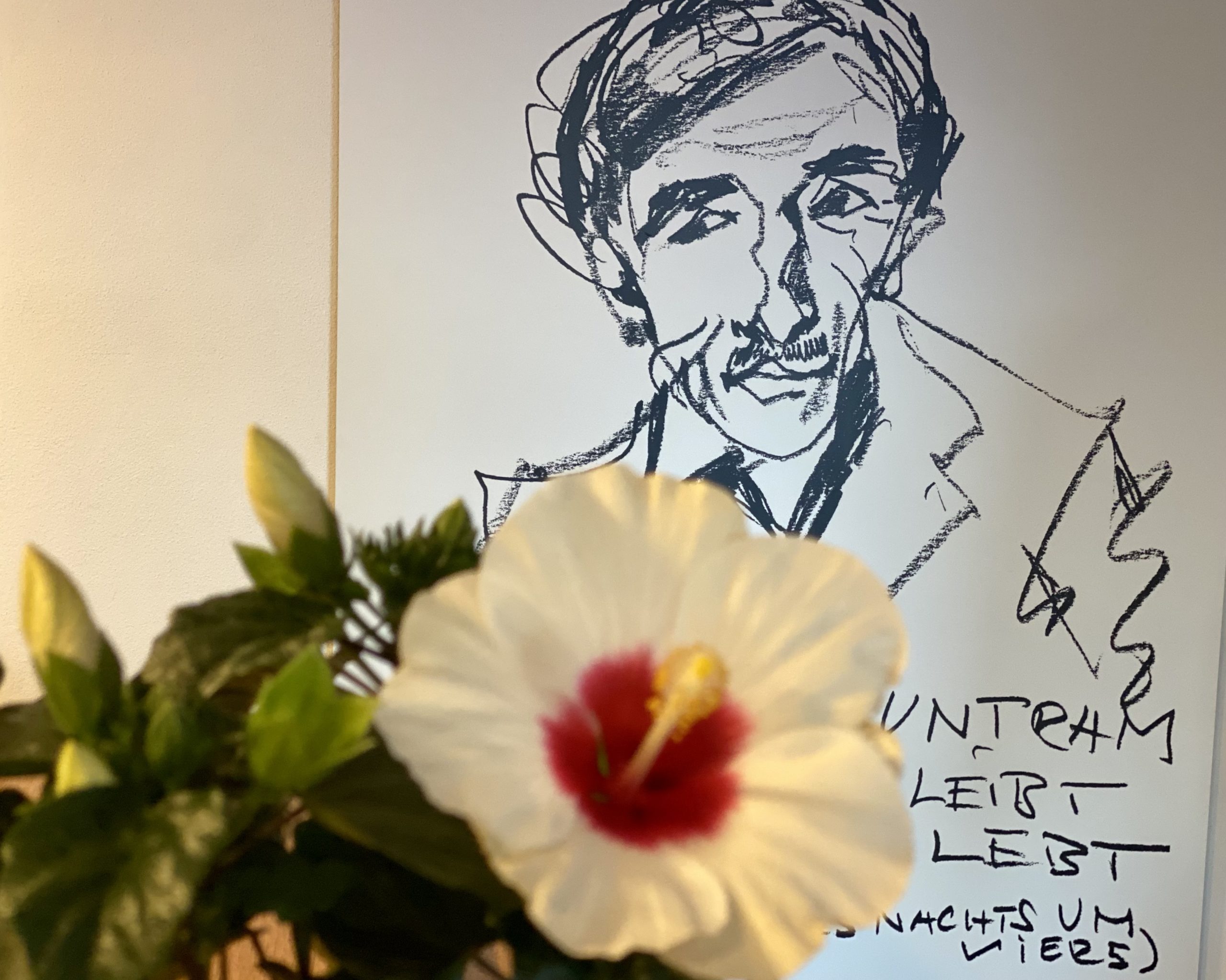 Berggasthaus Masescha